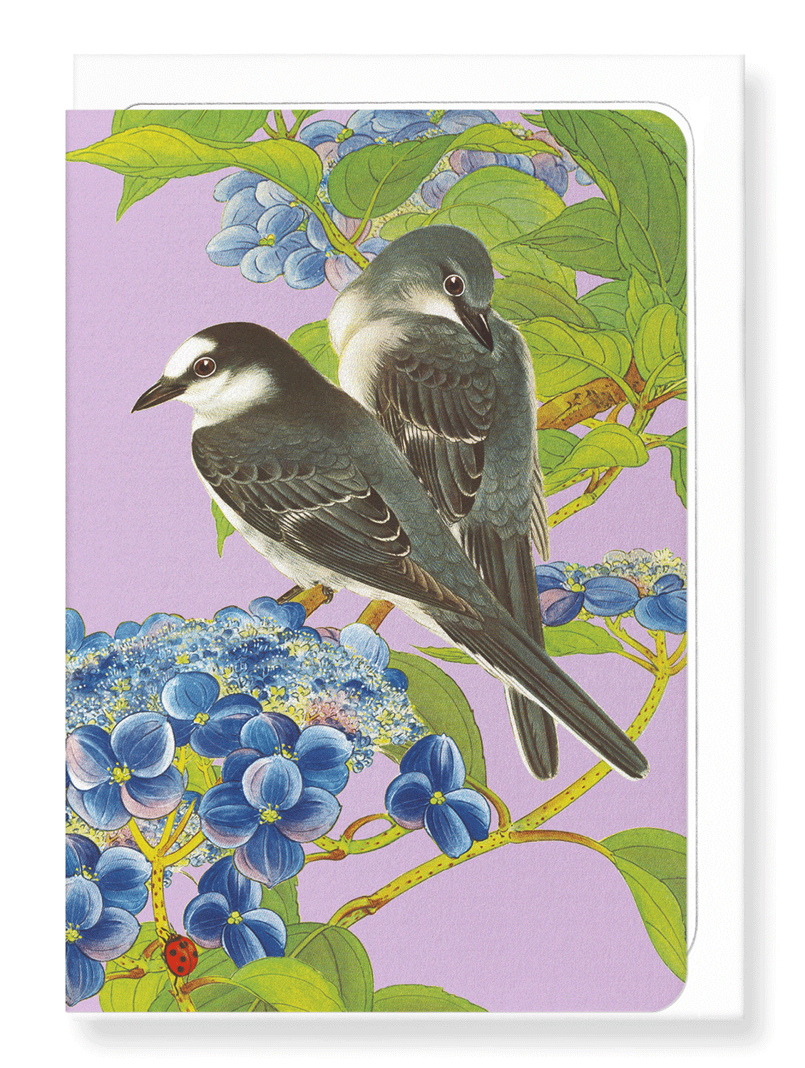 Japanese greeting card — Page 6 — Ezen Designs